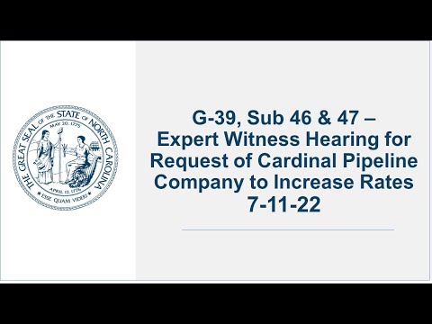 G-39, Sub 46 & 47 – Expert Witness Hearing