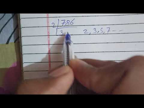 prime factors of 786