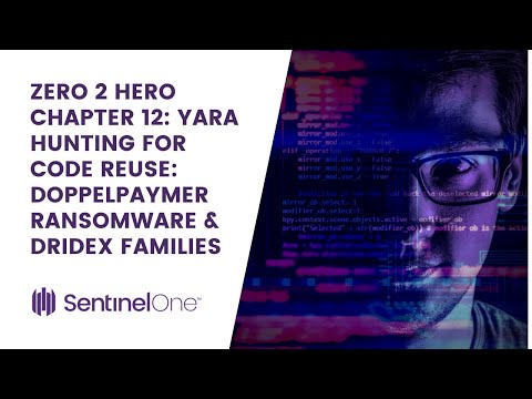 Chapter 12: YARA Hunting for Code Reuse: DoppelPaymer Ransomware & Dridex Families
