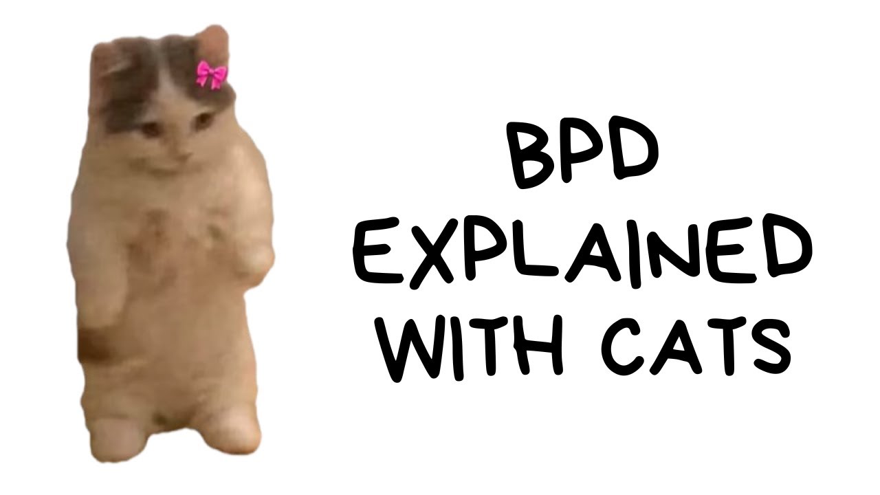 BPD Explained with Cats
