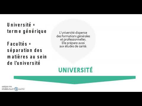 Présentation des études supérieures en France