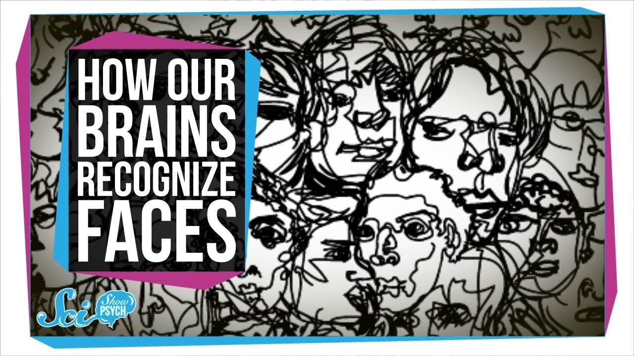 Understanding Face Recognition: The Science Behind Our Brain's Ability ...