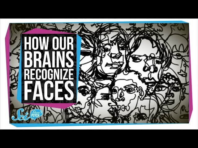 Understanding Face Recognition: The Science Behind Our Brain's Ability ...