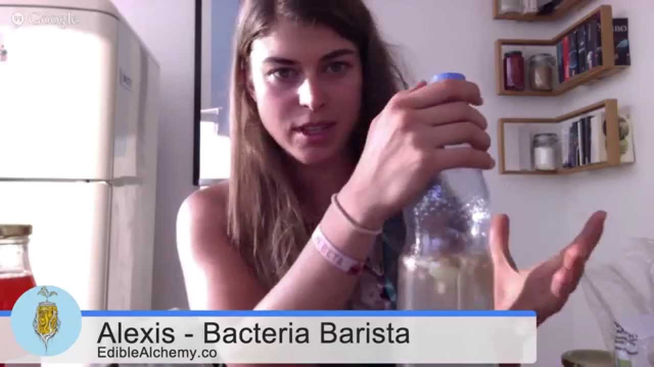FREE Webinar - Probiotics & Fermentation Essentials
