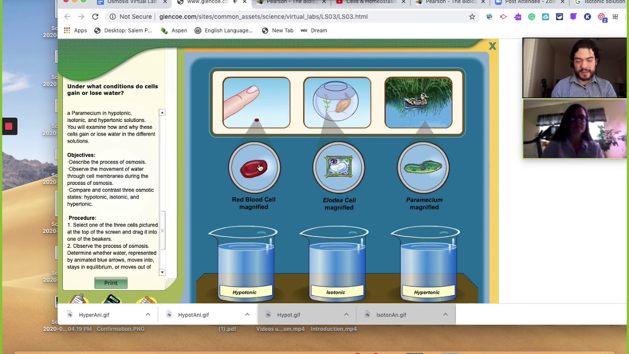 Newcomer Biology - Osmosis Virtual Lab