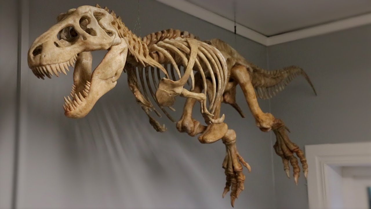 BIG 3D Printed T-Rex Skeleton