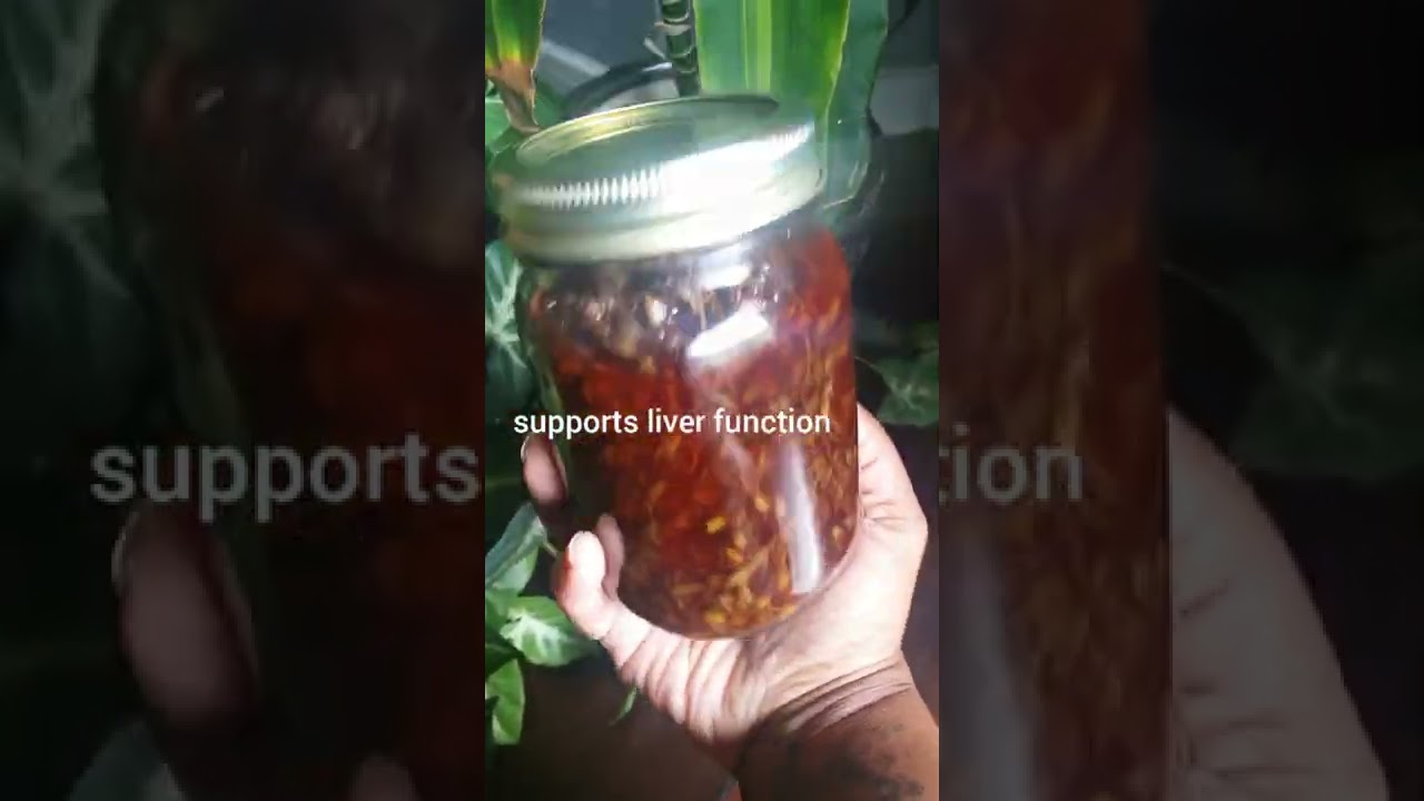 St. Johns Wort - Depression, Anxiety, & more | Ancestors Leaves