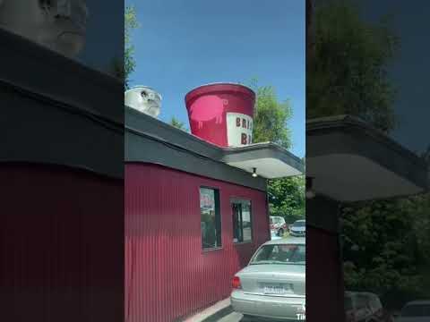 Bristol BBQ in Bristol TN!