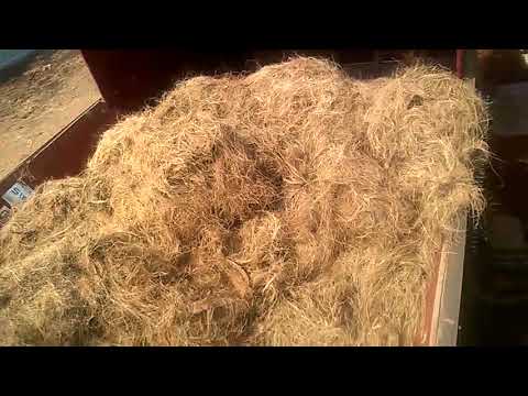 Coir Machinery - Coconut Fibre Machine Latest Price, Manufacturers ...