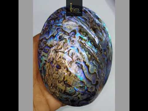 Natural Abalone Shell/Paua Shell Gemstone, grand size abalone shell.