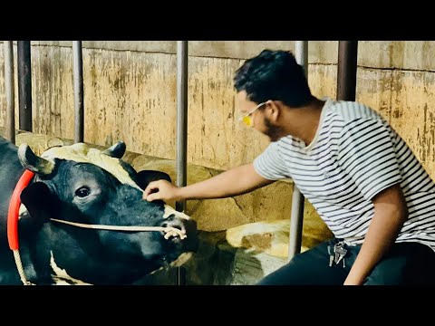 king shihab boss❤️❤️