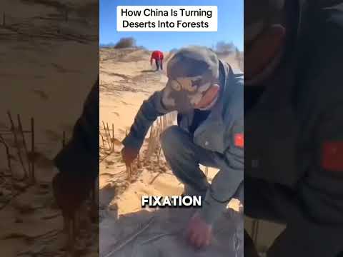 How China Is Turning Deserts Into Forests china india asia goviral followers uk chinese japan