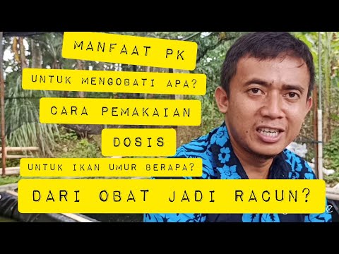 MANFAAT DAN CARA PEMAKAIAN PK (KALIUM PEMANGANAT) UNTUK MENCEGAH/MENGOBATI PENYAKIT IKAN