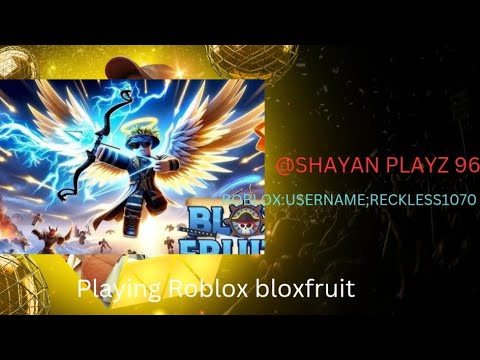 Playing Roblox bloxfruit