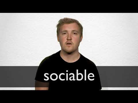 SOCIABLE definition and meaning | Collins English Dictionary