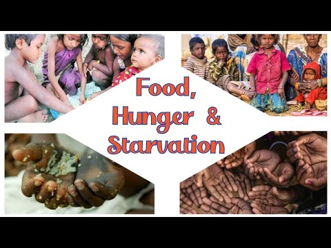 Essay on Food, Hunger & Starvation.
