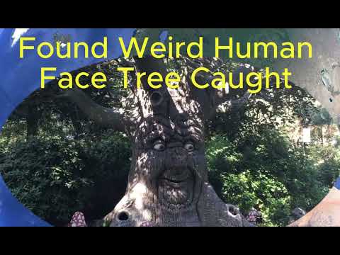 I Found Weird Human Face Tree Caught On Google Maps real life Efteling Fairytale Theme Park #map