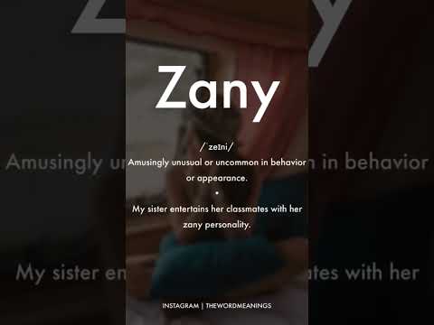 Word to learn : Zany
