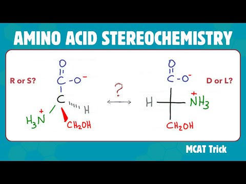 Amino Acid Stereochemistry - R & S vs D & L