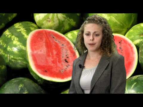 Fast Foods & Processed Foods Vs Whole Foods, Nutrition & Wellness