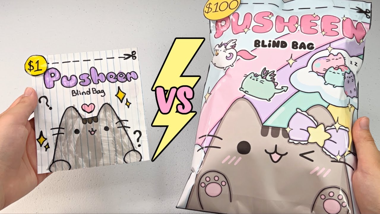 $1 VS $100 Pusheen Blind Bag Paper DIY | ASMR