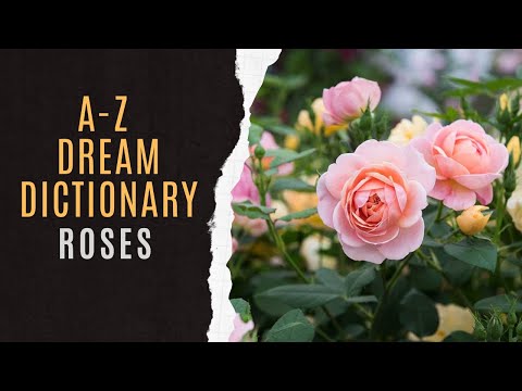 🌹Rose Dream Interpretation | Meaning Of Rose In A Dream | Rose Symbolism