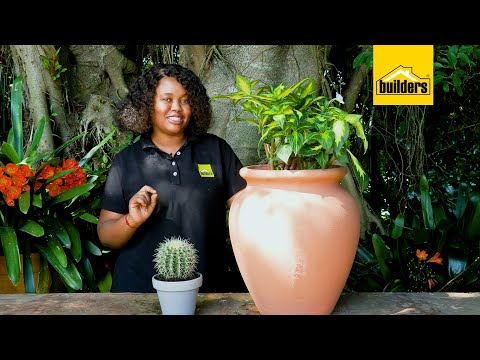 Upgrade Your Garden Pots With Fired Earth Pot Paint