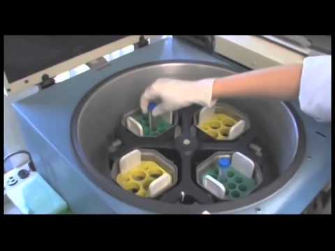 Celprogen's Protocol for Cryogenic Preservation of Cells
