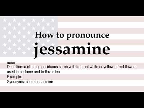 How to pronounce 'jessamine' + meaning