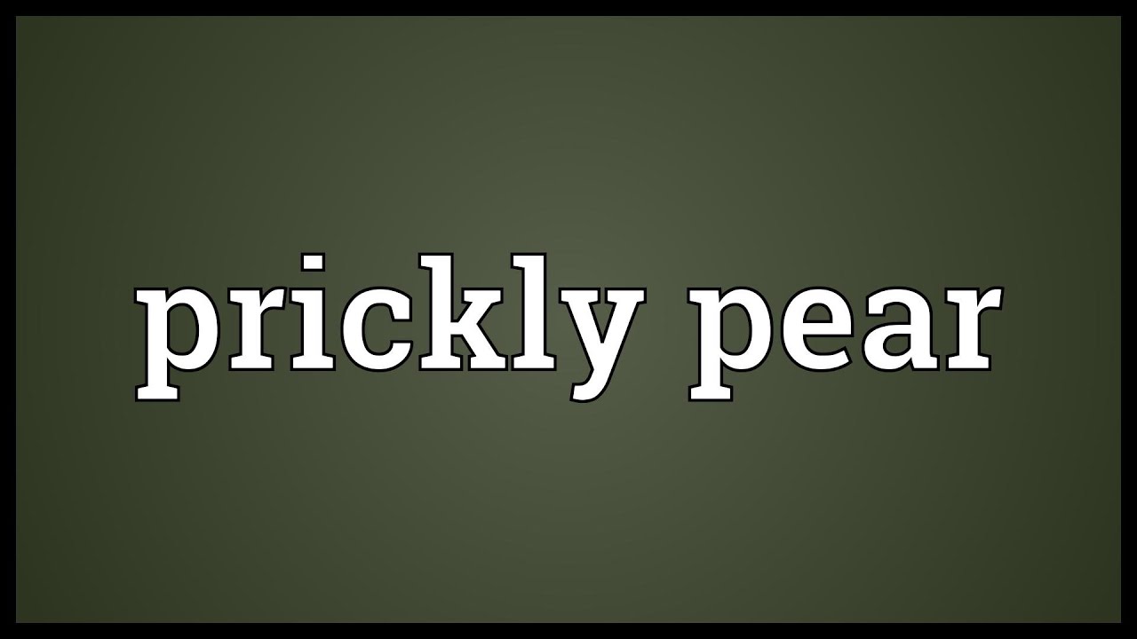 Prickly pear Meaning
