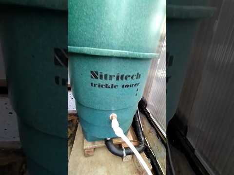 Nitritech rotating shower sprinkle trickle Koi Pond filter #aquascape #filtration #spinning #fish