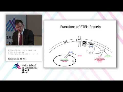 PTEN and Cancer
