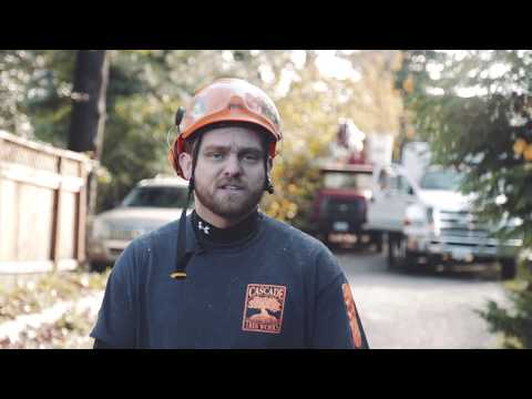 Cascade Tree Removal - Crane Removal