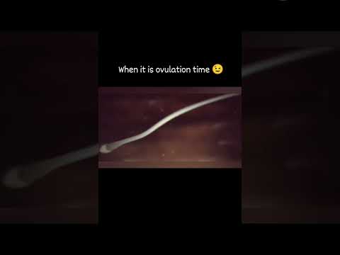 It's ovulation time! Witness the incredible journey of sperm racing to meet the egg! #ovulation