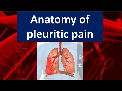 Anatomy of pleuritic pain : Mechanisms You Need to Know