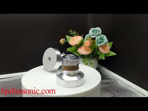 20KHz 25KHz 28KHz Piezoelectric Ultrasonic Cleaning Transducer