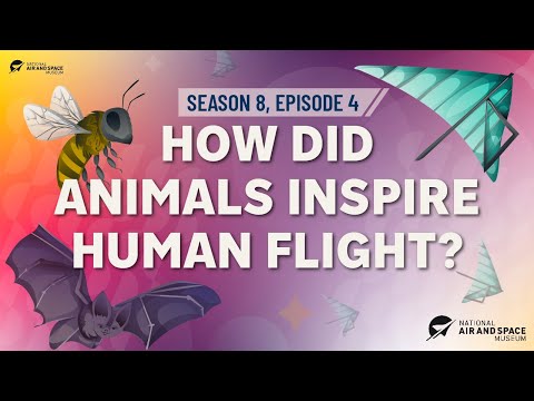 How Did Animals Inspire Human Flight? - STEM in 30: Season 8, Episode 4