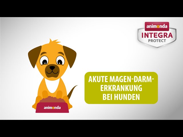 animonda Integra Protect Intestinal 5x700 g - shop-apotheke.com