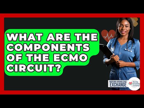 What Are The Components Of The ECMO Circuit? - Nursing Knowledge Exchange