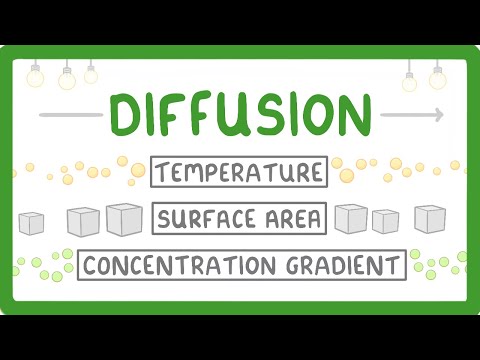 What is Diffusion? How Does it Work? What Factors Affect it?