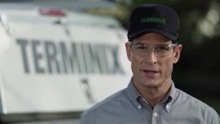 3 Best Pest Control Companies in Peoria, IL - Expert Recommendations