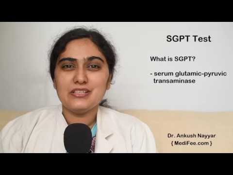 SGPT Blood Test - An Overview