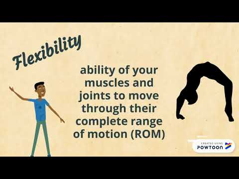 5 Components of Physical Fitness