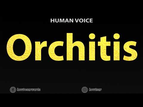 How To Pronounce Orchitis