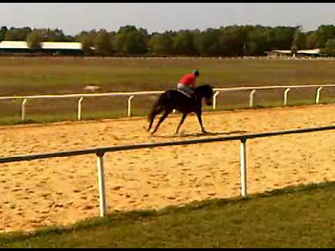 DTR video Solicitation - 110321.3gp