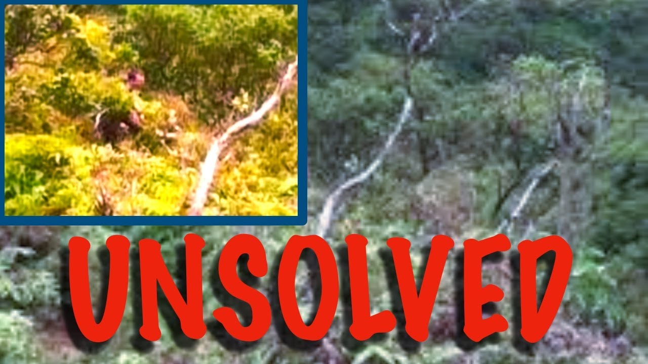 3 STRANGE Unexplained DISAPPEARANCES