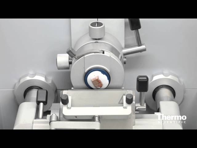 Laboratory Microtomes - The Dakewe HP300 Plus Tissue Processing Accessories and Consumables ...