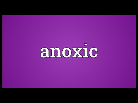 Anoxic Meaning