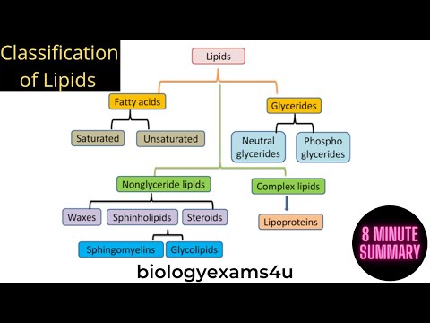 Lipids Classification Simple Summary|| Lipids Biochemistry Part 1