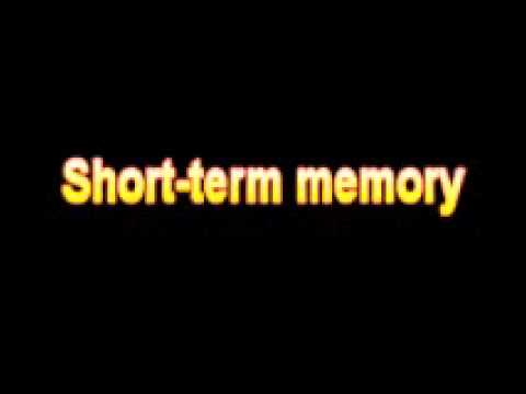 What Is The Definition Of Short term memory Medical School Terminology Dictionary